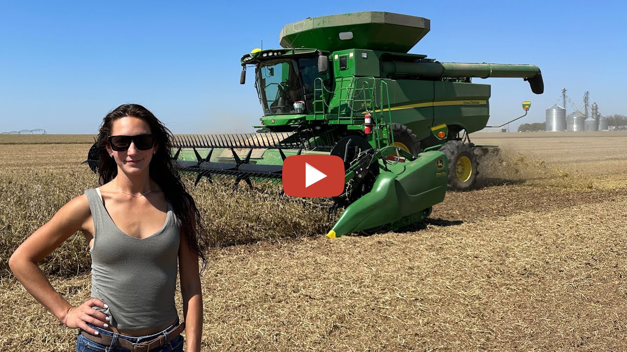 Laura Farms -- The Worst Harvest Conditions Yet -- Soybean harvest 2023