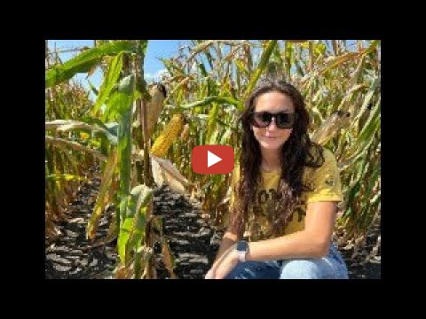 Laura Farms -- Thursday Evening On The Porch With Laura Farms. You two ...
