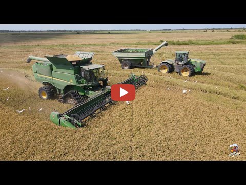Mike Less - Farmhand Mike -- Texas near the Town of Liberty. This farm ...