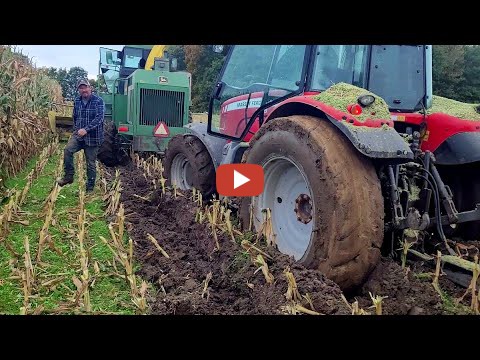 Acres of Clay Homestead -- We are still working at chopping corn. And ...