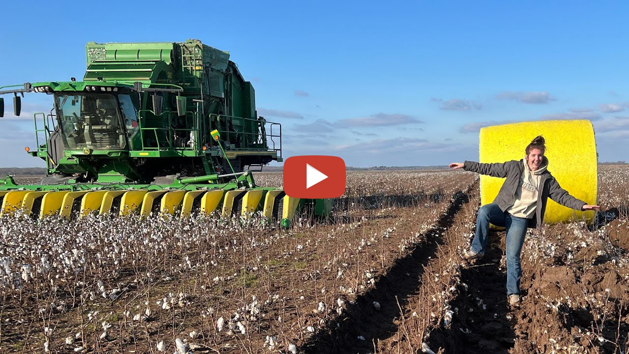 Ag with Emma -- Cotton Strippers vs Cotton Pickers, There IS a ...