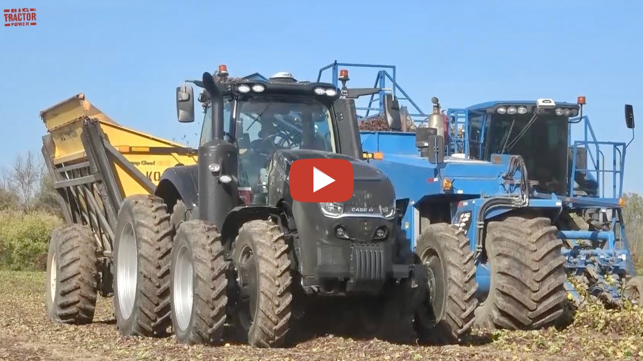 bigtractorpower 2023 -- How are RED BEETS Harvested? Big Tractor Power is out in the field with ...