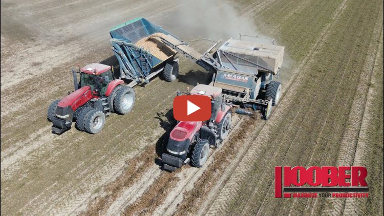 Hoober Inc - Indika Farms - peanut harvest in October 2023, near their ...