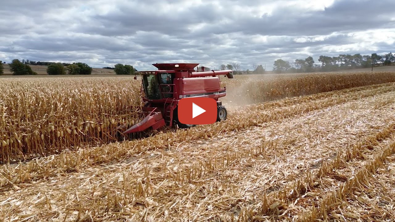 Iowa Country Girl - Combining Corn and Baling Stalks