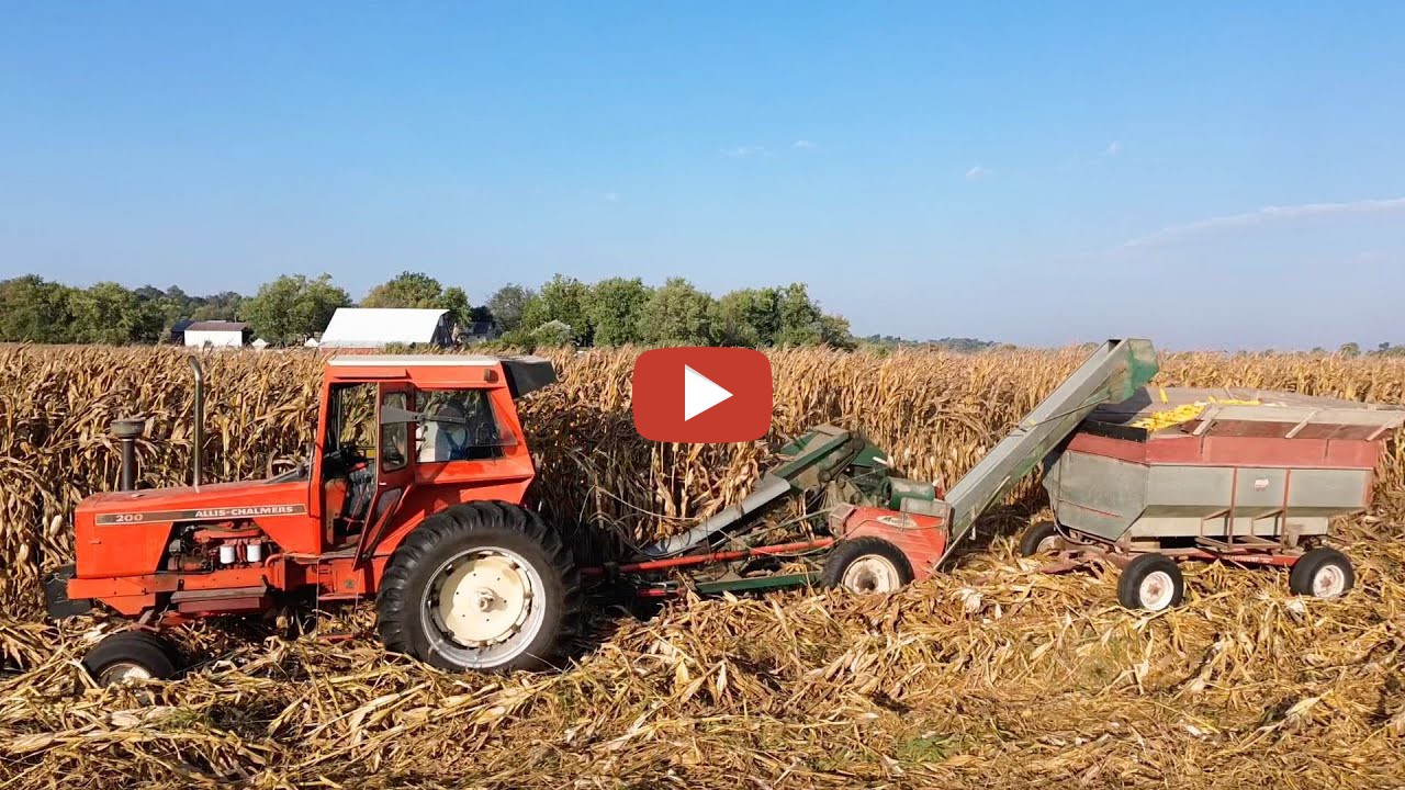 Iowa Country Girl -- Picking Corn 2023 In today's video we started ...