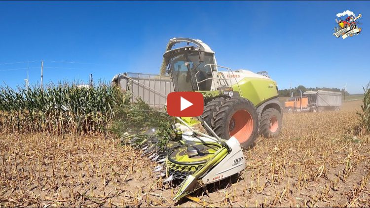 Mike Less - Farmhand Mike -- I am out at Warren Dairy in West Central ...