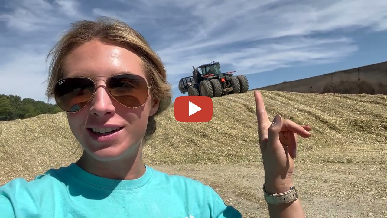 New Age Custom Farming -- This corn is so short! We started chopping ...