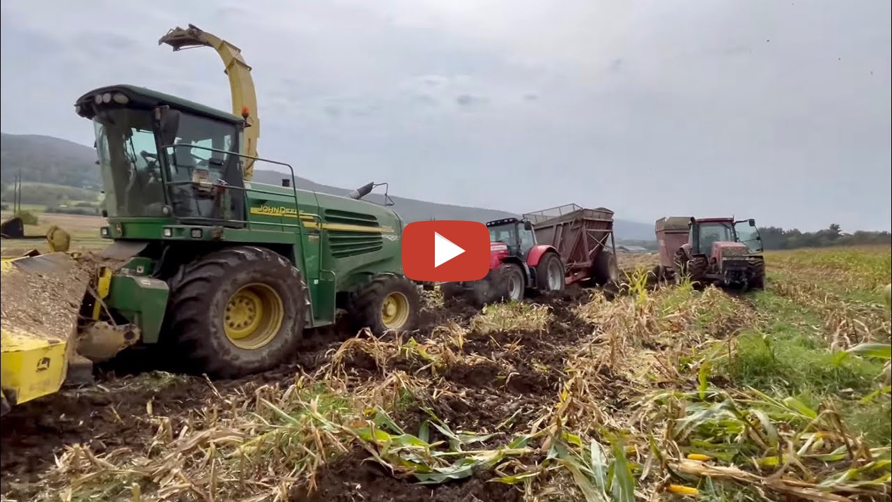 Snapped Frame! Tractors stuck in mud and covering corn bunk! Wild day ...