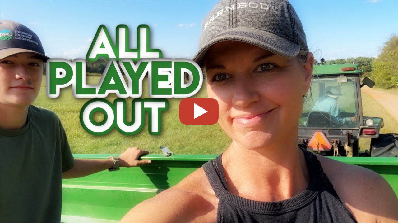 This Farm Wife - Meredith Bernard - Here's to trying new things! This ...