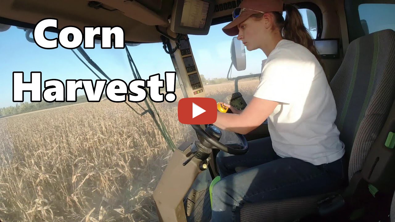 Todd Family Farm -- Corn Harvest on an Iowa Family Farm! We are a ...