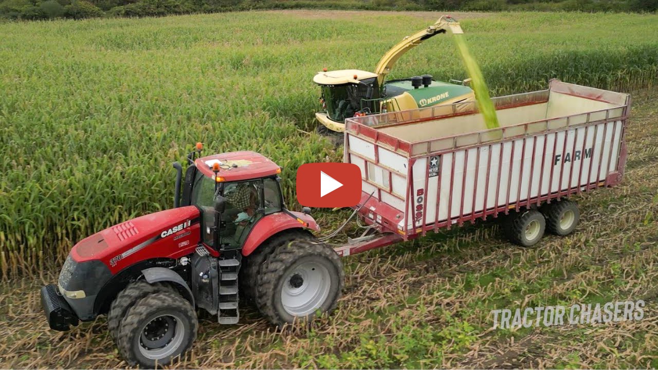 Tractor Chasers -- Watch this Krone Big X680 make quick work of corn ...
