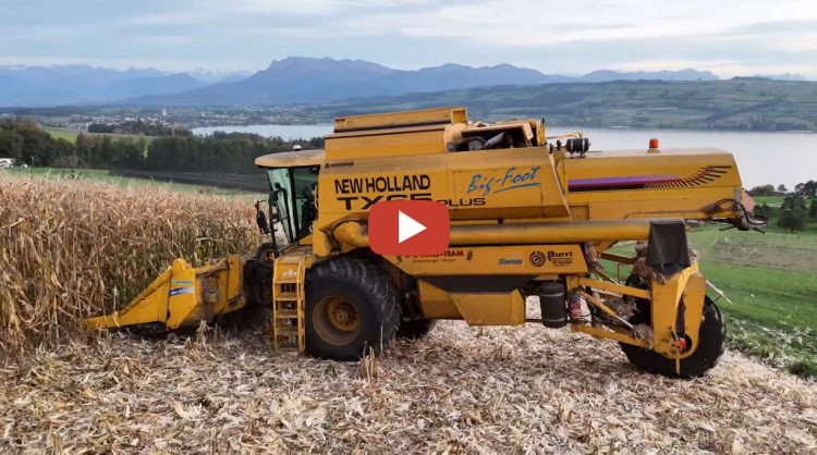 feruontour — Corn harvest on a slope 2023 — Burri with its 3-wheel full ...
