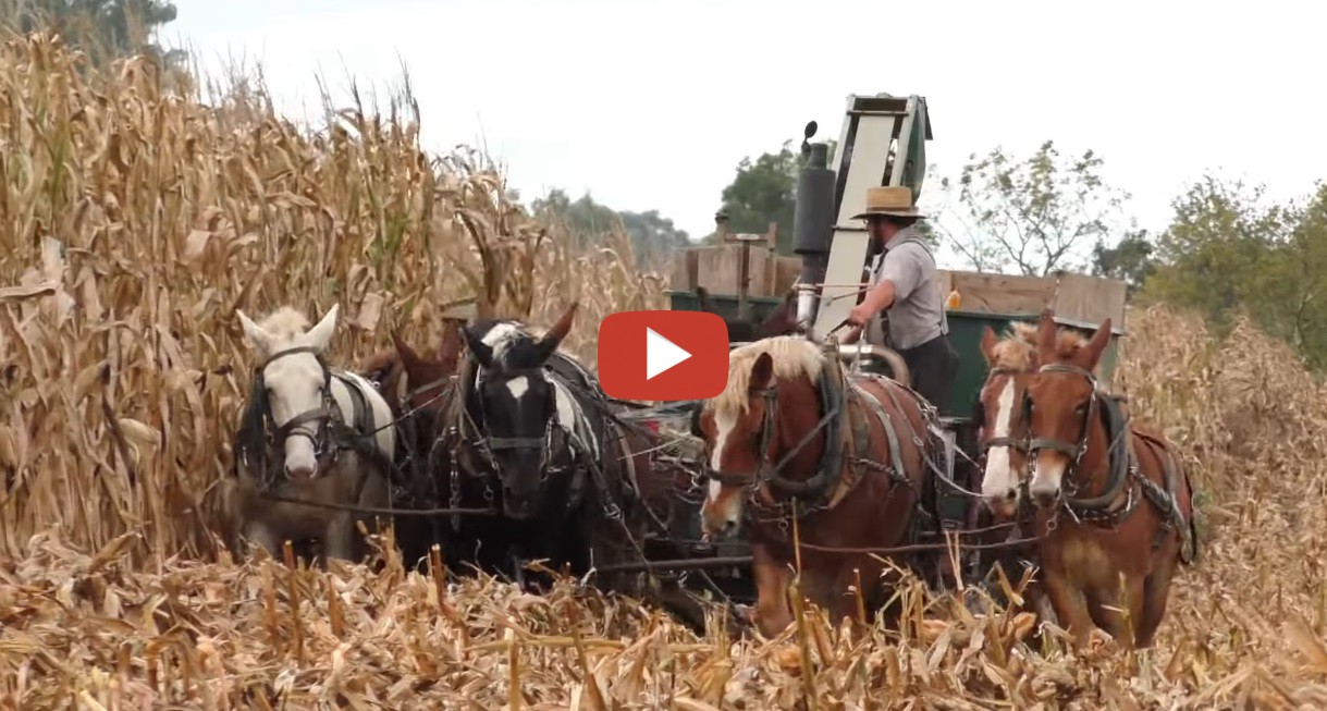 AmishPA - Lancaster County, Here we watch an Old Order Amishman and his ...