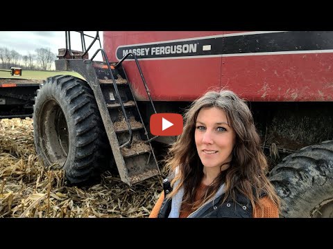 Acres of Clay Homestead -- 1st Time Running Combine! Massey Ferguson ...