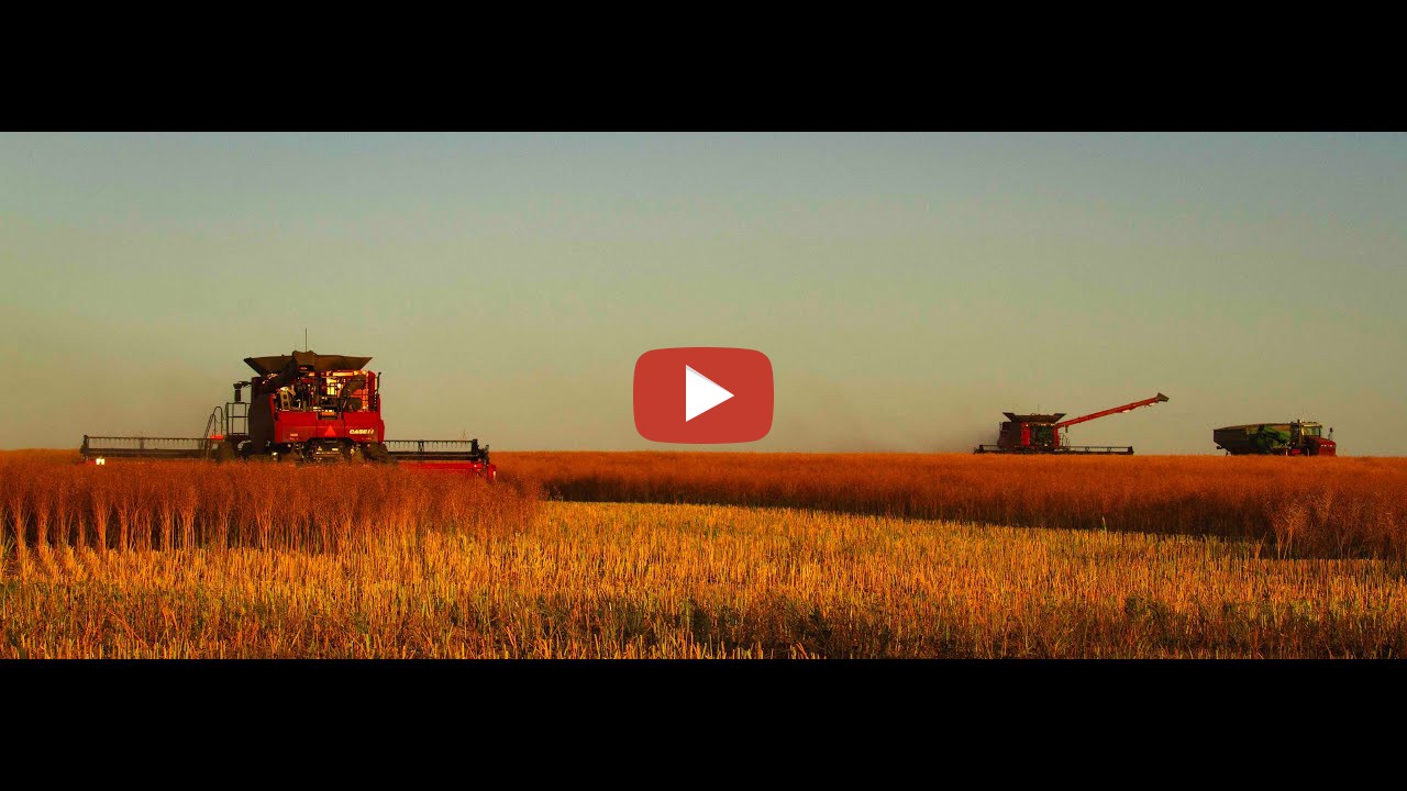 Ben Crosthwaite -- Massive harvest on the wide open spaces of Australia ...