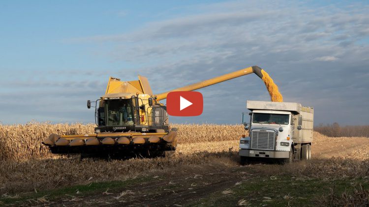 Family Farm Country -- Combine Harvesting Corn and Unloading into Truck ...