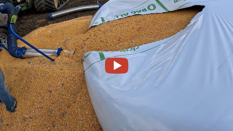 Fettig Family Farms -- The LAST Thing A Farmer Wants To See -- In this ...