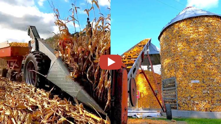 Gierok Farms -- This is part two of this big harvest day. We had a very ...