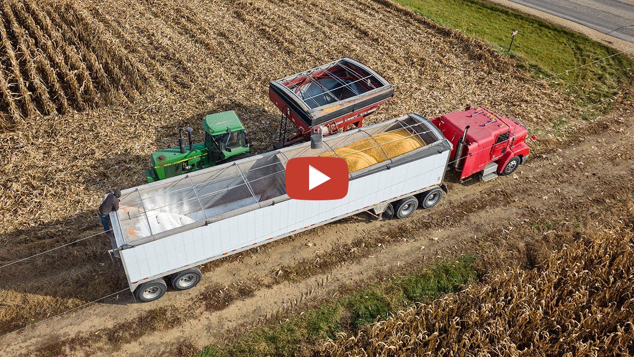 How Farms Work -- A Day of Harvest Life -- We harvest corn, and we put ...