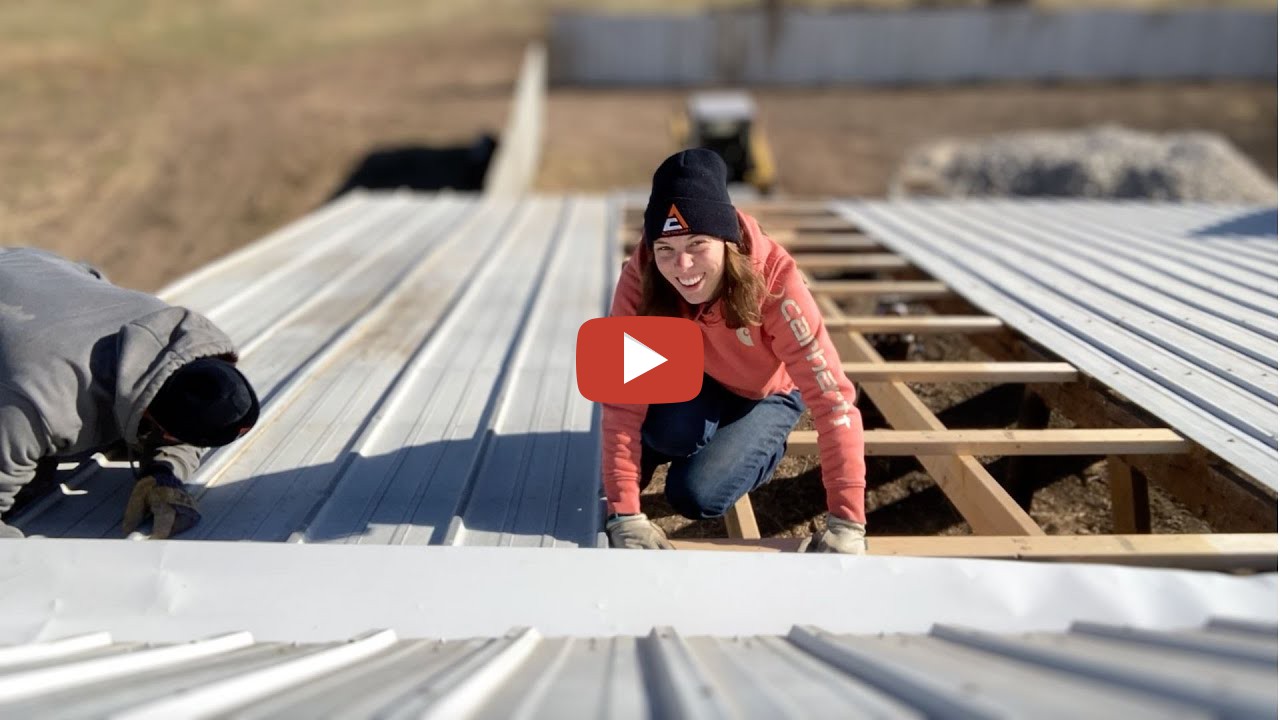 Iowa Country Girl -- In today's video we put tin on the wind break ...