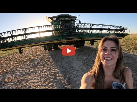 JojoSnow -- The Great Itch Begins Milo Harvest 2023........