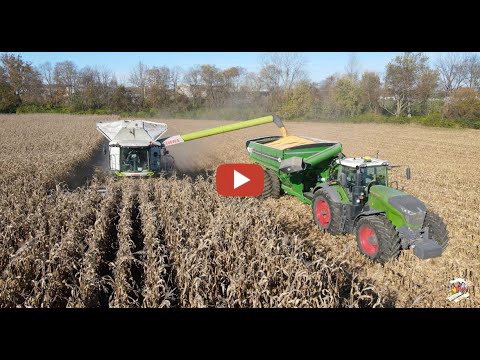 Mike Less - Farmhand Mike -- Corn harvest near Eaton Ohio with a family ...