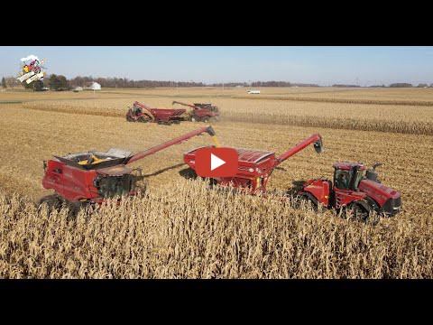 Mike Less - Farmhand Mike -- In a corn field near Lynn Indiana with ...