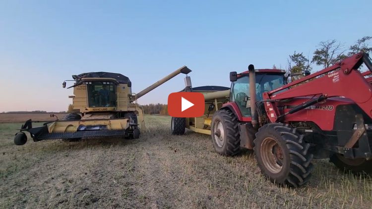 Northern farmer -- Harvest 2023 Is a Wrap....Wheat Oats And Canola!! In ...