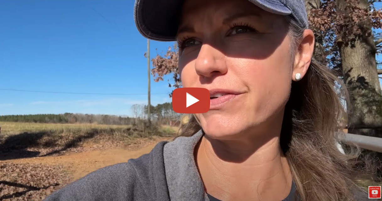 This Farm Wife - Meredith Bernard -- Cows, Cookies & Christmas Trees Oh My!