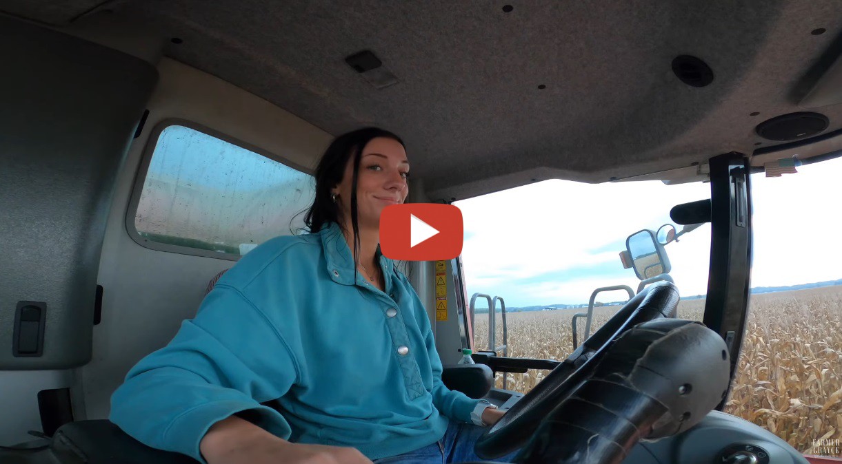 Farmer Grayce -- First Day of Corn Harvest! Massey Ferguson Harvester...