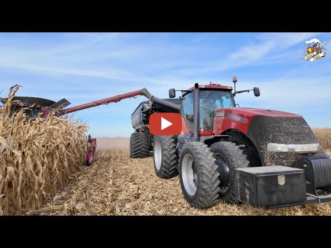 Mike Less - Farmhand Mike -- Corn & Soybean Harvest in Southern Darke ...