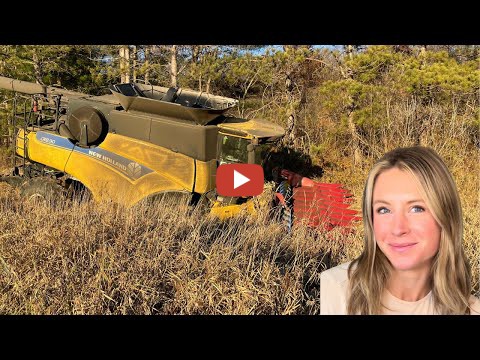 New Age Custom Farming -- Big New Holland Combine Stuck in the Creek ...