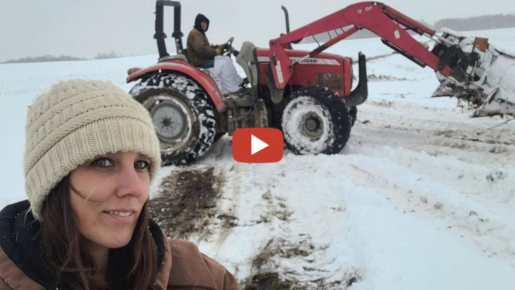 Acres of Clay Homestead -- Could BE A HUGE Disappointment -- Winter ...