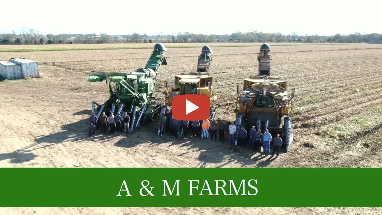 Aerial Ag -- Wrapping Up Cane Harvest in Louisiana -- A & M Farms ...