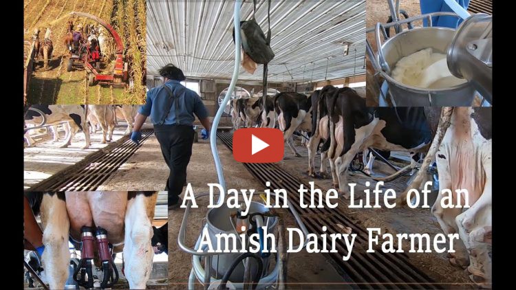 AmishPA -- Come follow along on a typical day in the life of an Amish ...