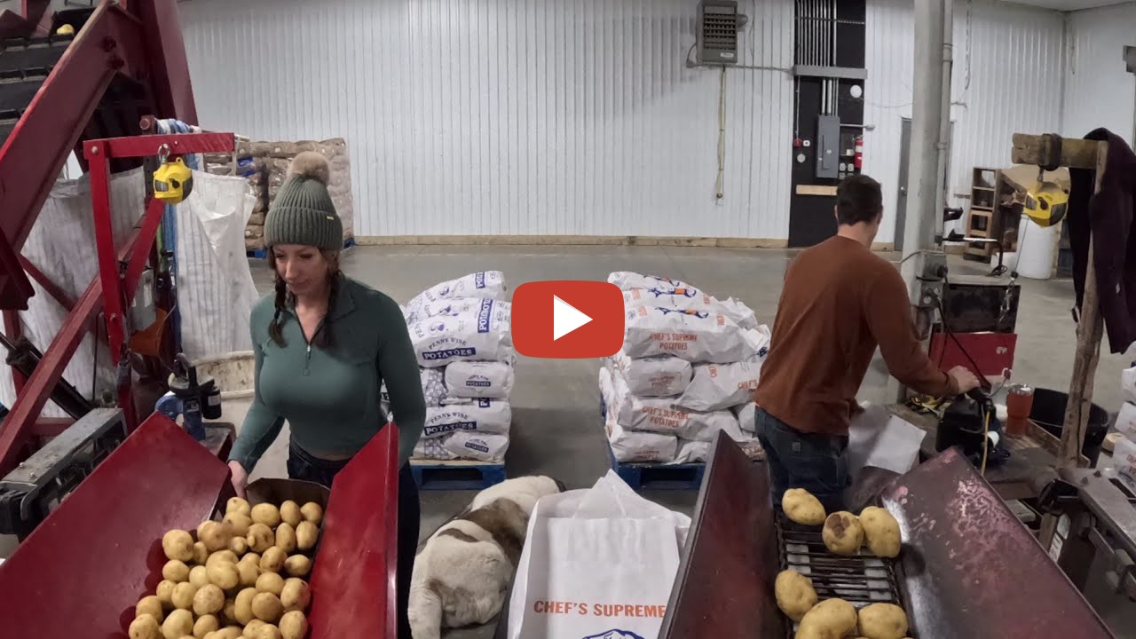 Bells Farming -- Back in the packing house today and we are short ...