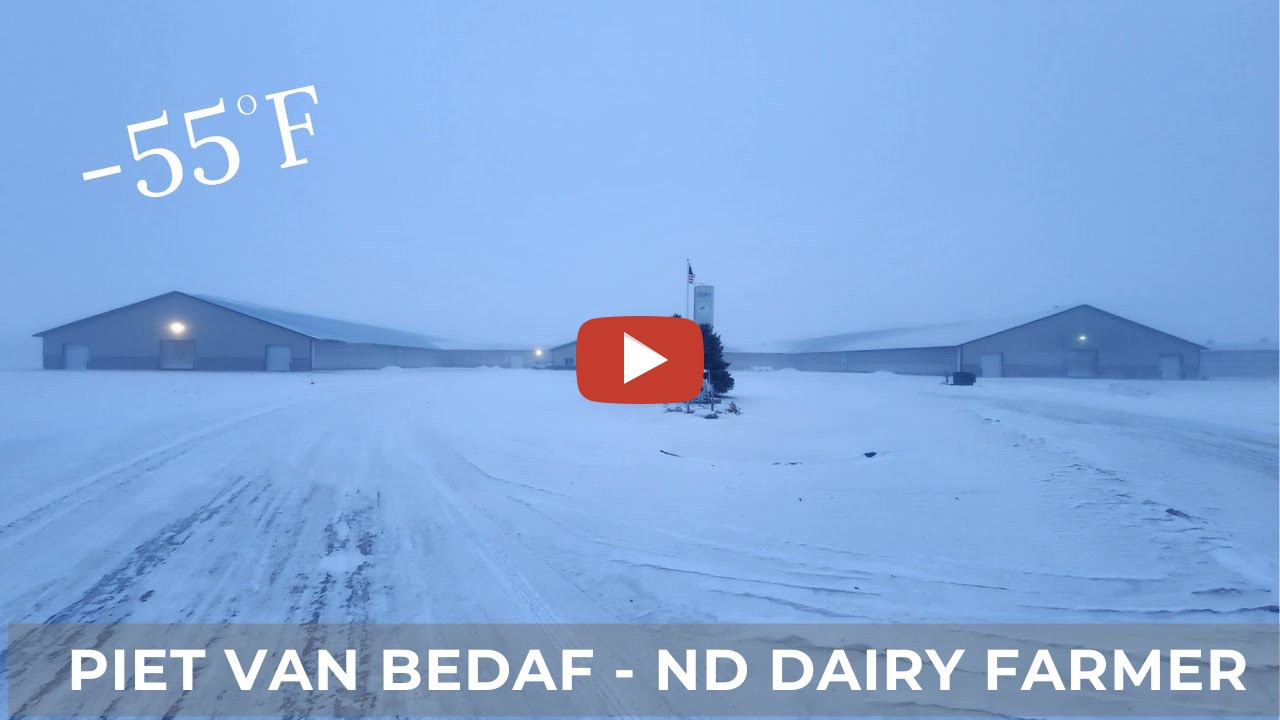 Deep Freeze Hits the Farm - In this week's video, we're putting bedding ...