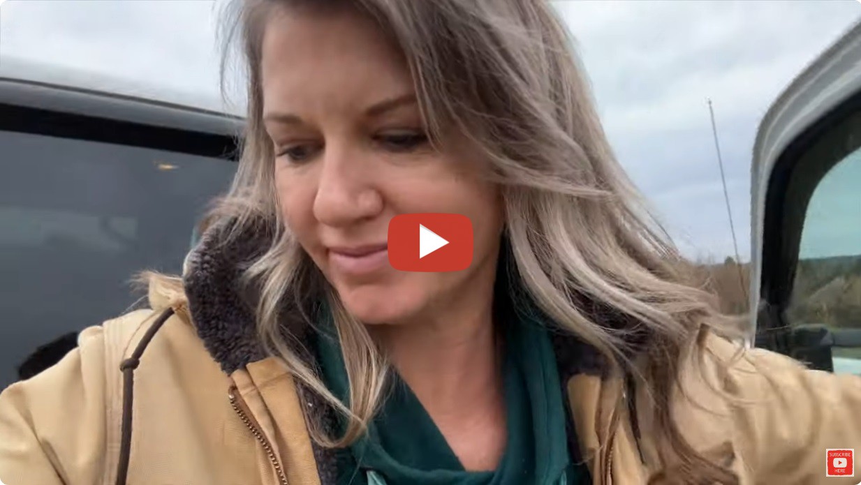 This Farm Wife - Meredith Bernard -- Happy New Year! We're back! And we ...