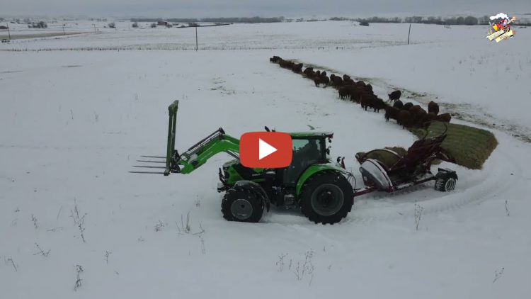Mike Less - Farmhand Mike -- Cattle Farm & Ranch near Cambridge Idaho ...