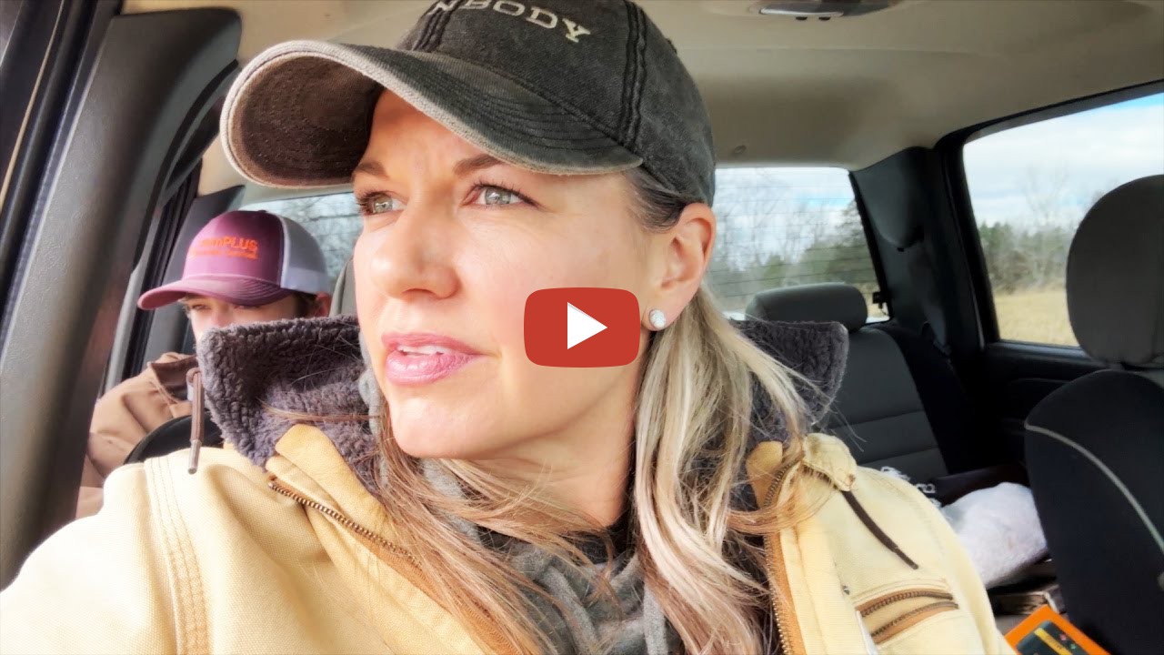 This Farm Wife - Meredith Bernard -- Wow, what a January! The rain came ...