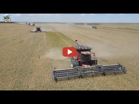 Mike Less - Farmhand Mike --Paplow Harvesting as they are custom ...