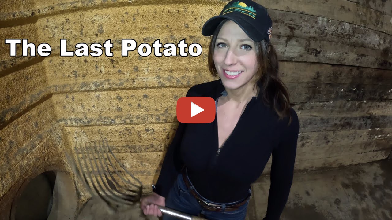 Bells Farming -- Potato Pile Finally Finished! Watch the pile disappear ...