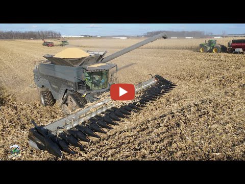 Mike Less - Farmhand Mike. In this video I am out in a corn field with ...