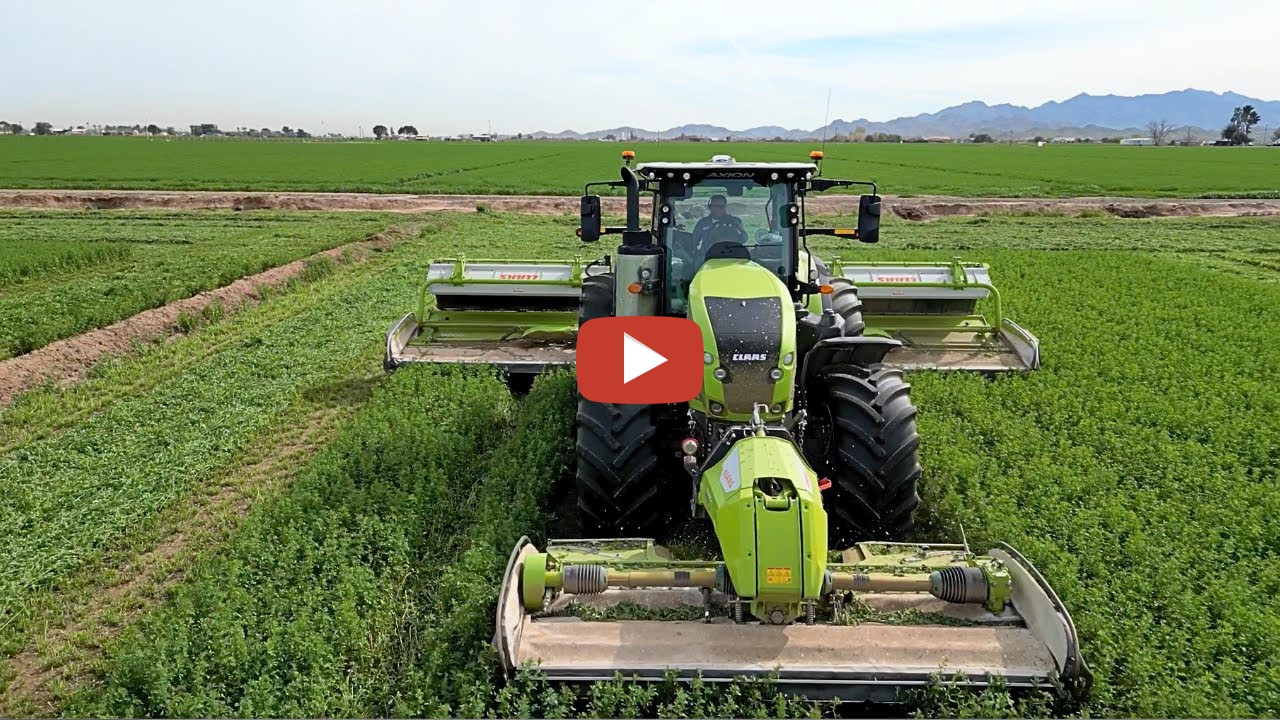 Mowing alfalfa with a Claas Triple Mower -- Bales Hay Farm and Ranch