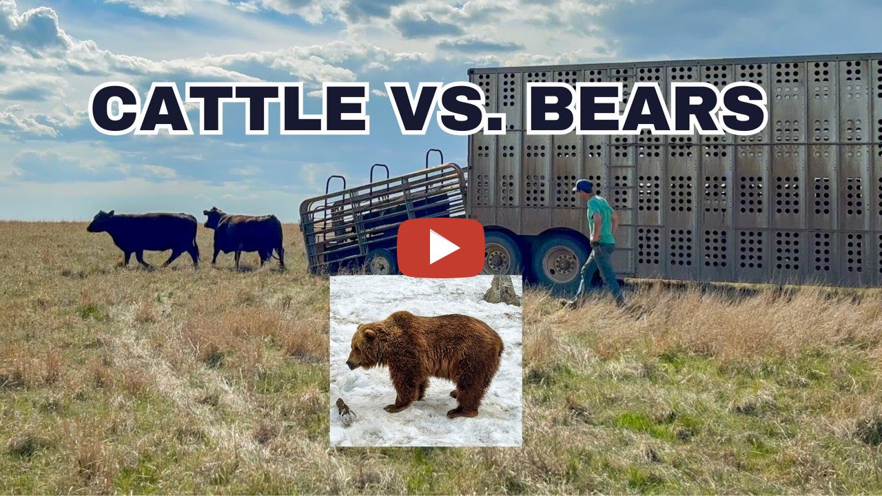 Peterson Farm Bros -- Spring TURNOUT | Our Trip To ALASKA - Kendal ...