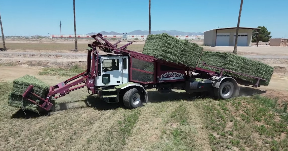 Arcusin Bale Bundler Demo -Making hay 2024 - Bales Hay Farm and Ranch