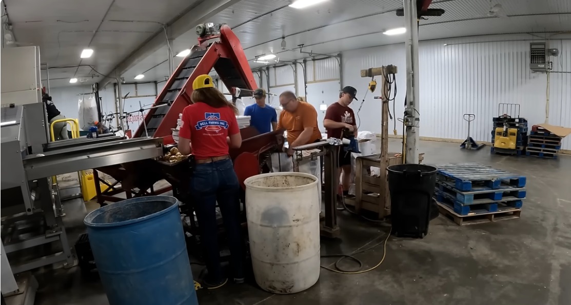 Bells Farming -I didn't want you to forget we were still bagging potatoes..