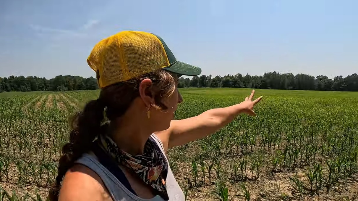 Bells Farming -- It's been a couple weeks since the last growing update ...