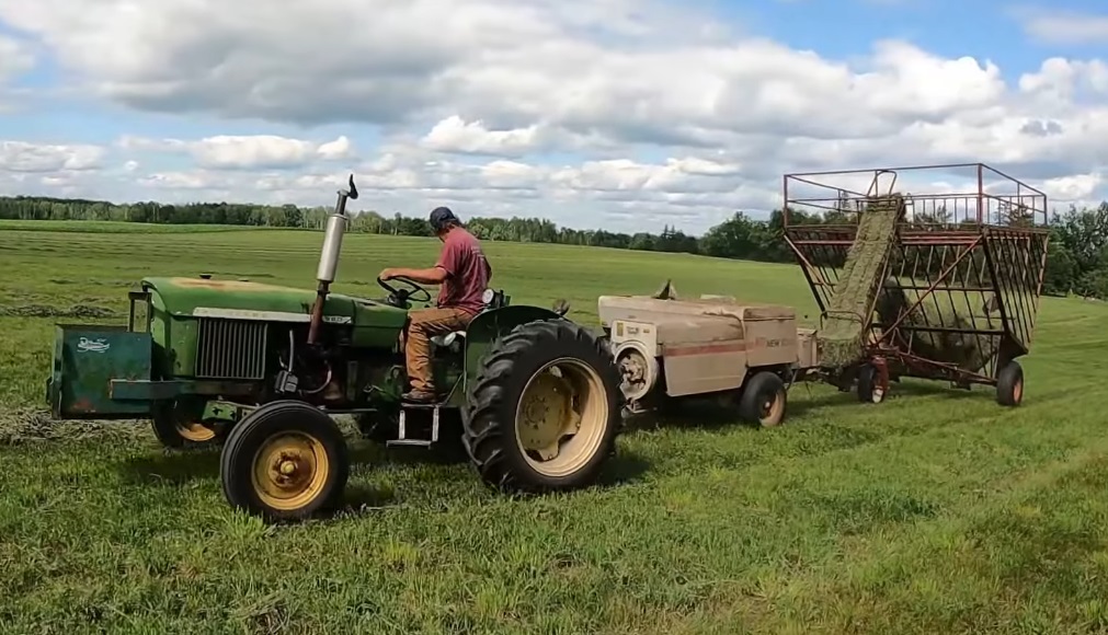 Trinity Dairy -- A perfect window opened up between the rain showers to ...