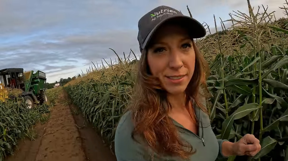 Bells Farming -- Harvesting sweet corn. Check out Cornzilla. Spend the ...